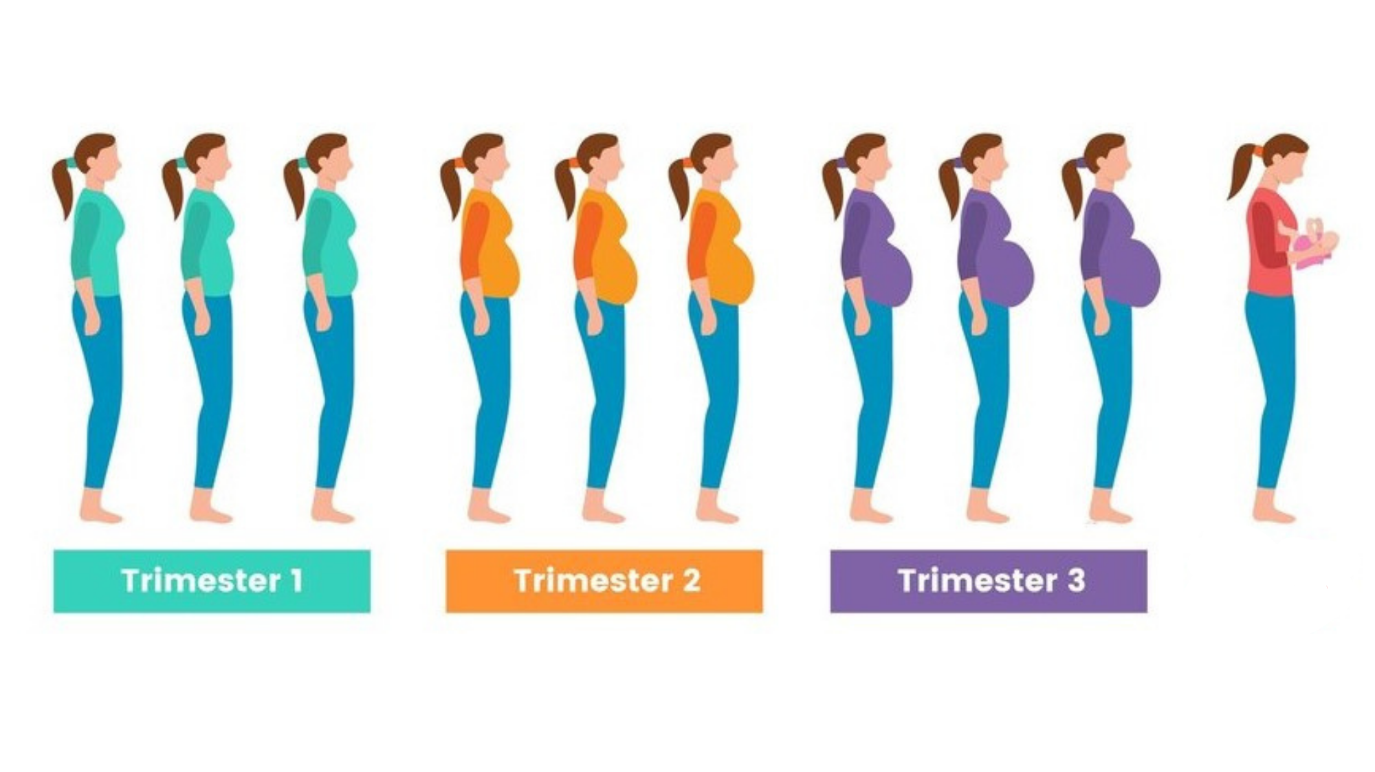 Pregnancy Symptoms From First Trimester To Third Pregnancy Symptoms From First Trimester To Third