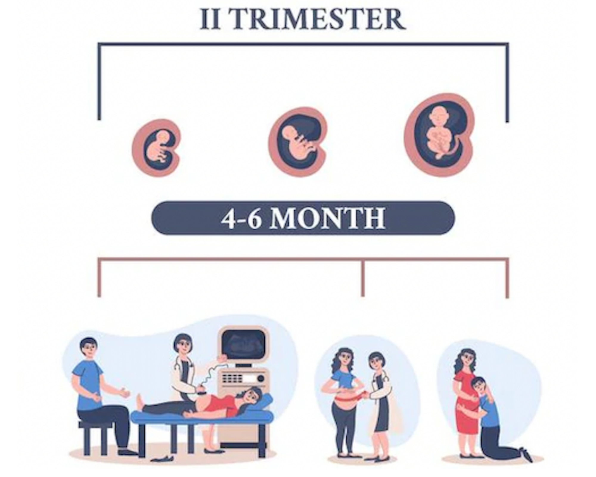 Unpacking Body Changes in the Second Trimester ⋆ Tiny Toes and Tummies